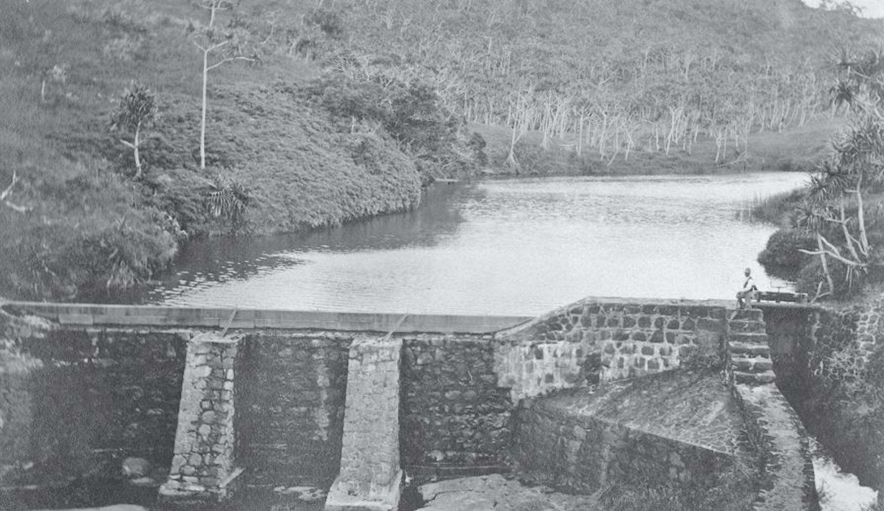 Stone Dam - Common Ground Kauai